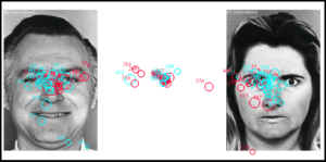 Data Viewer for EyeLink Eye-Tracker Gaze Data - SR Research