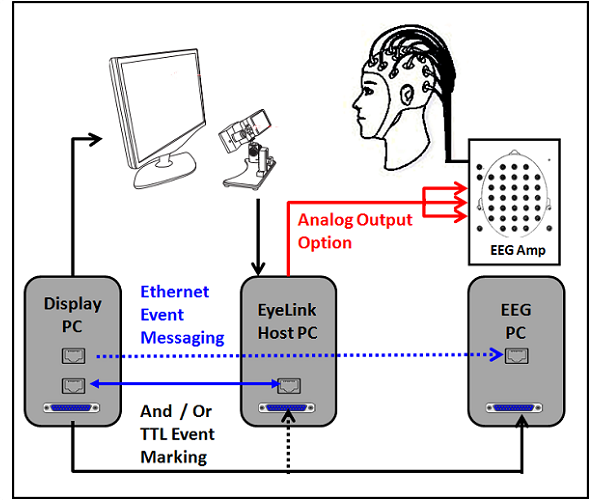 EEG and fNIRS Solutions - Eye-Tracking Research - SR Research