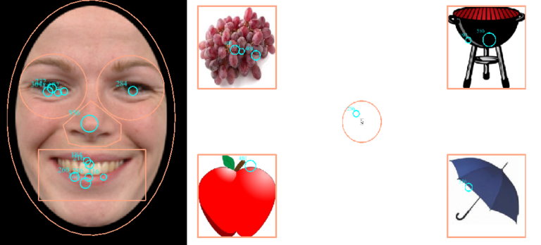 Eye Tracking Terminology - Eye Movements - Fast, Accurate, Reliable Eye ...