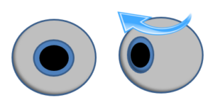 Learn About Eye Tracking for Pupillometry - Fast, Accurate, Reliable ...