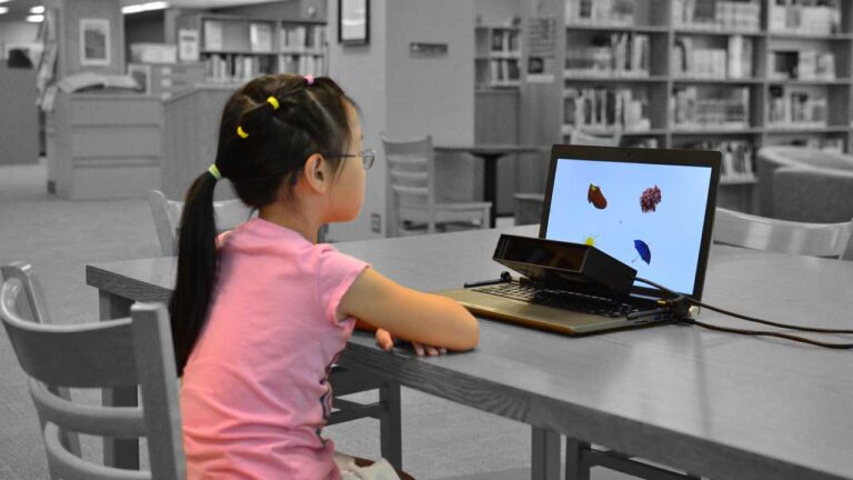 Visual Angle Calculator - SR Research