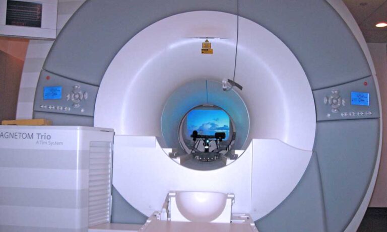 Eye Tracking with fMRI, MEG, EEG Systems, and More - SR Research