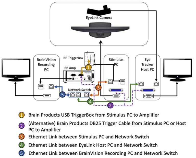 Hardware Integration - Fast, Accurate, Reliable Eye Tracking