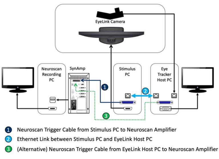 Hardware Integration - Fast, Accurate, Reliable Eye Tracking