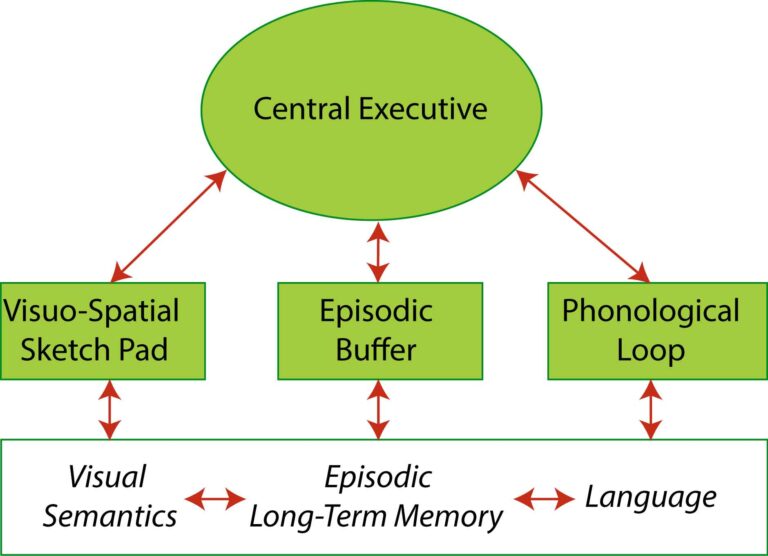 Cognitive Load, Working Memory and Pupil Size - Fast, Accurate ...