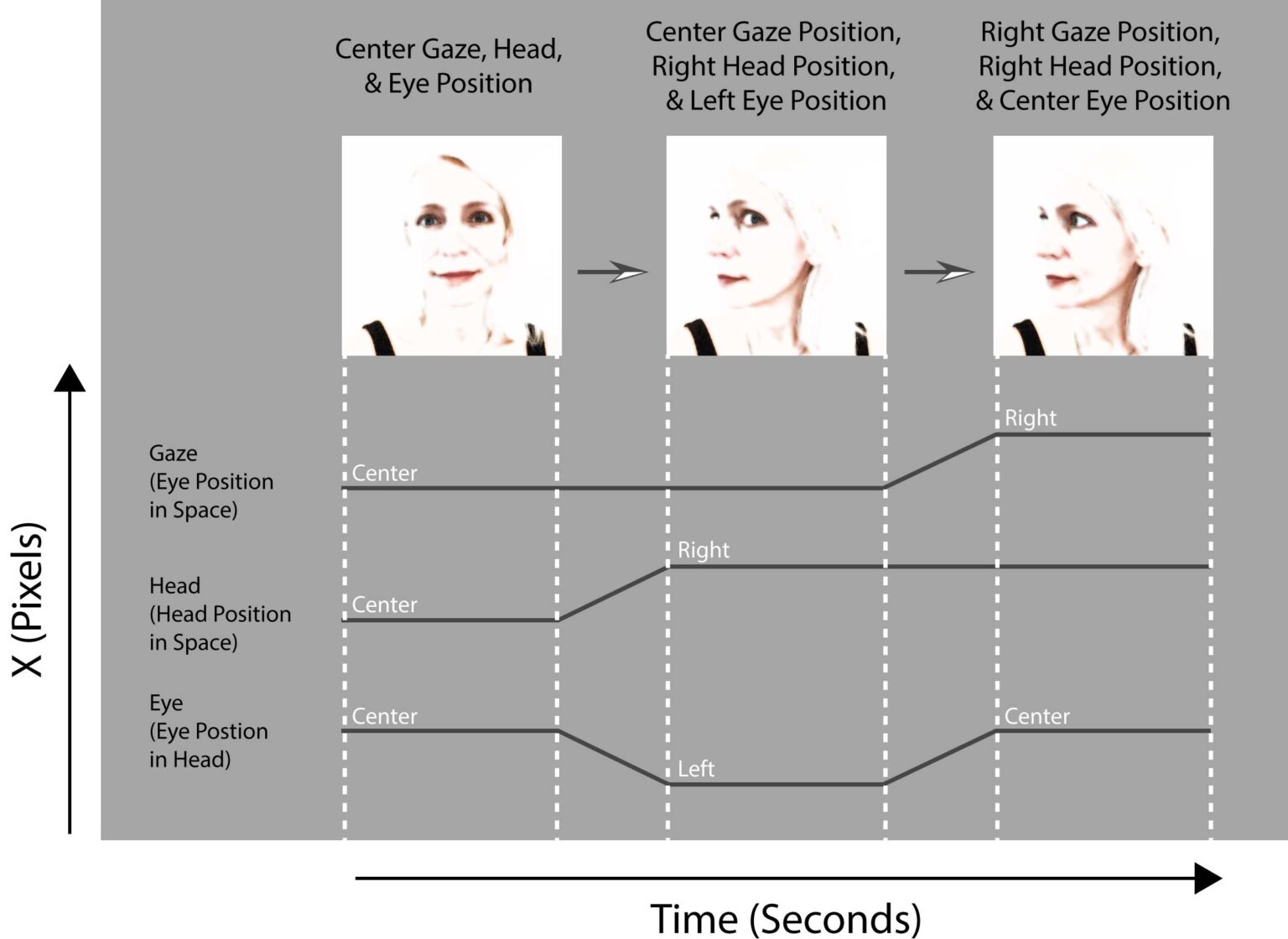 EyeLink 3 Screen Pixel Data - Fast, Accurate, Reliable Eye Tracking