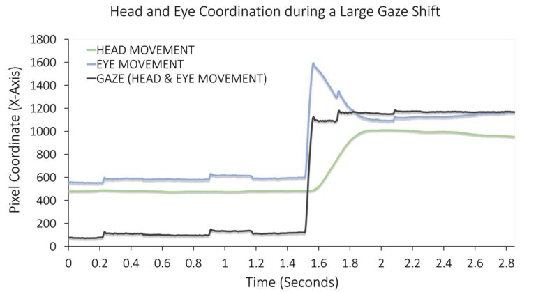 EyeLink 3 - Eye and Head Tracker - Fast, Accurate, Reliable Eye Tracking