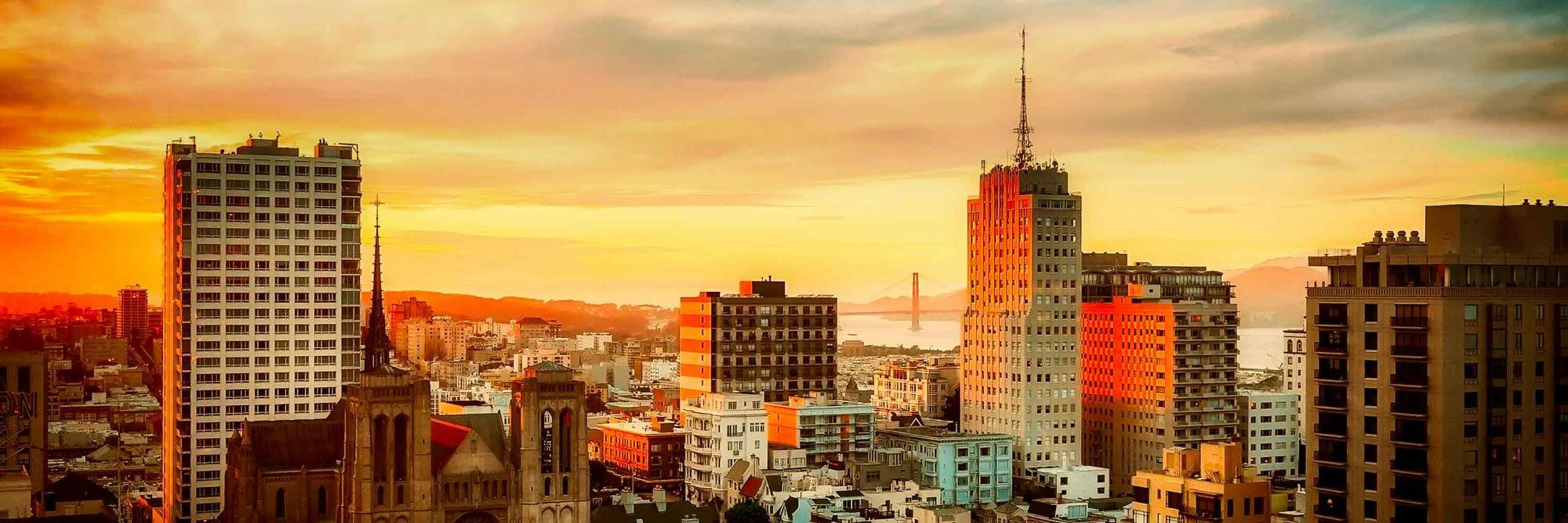 Eye Tracking Infant and Adult Aesthetic Choices - Fast, Accurate ...